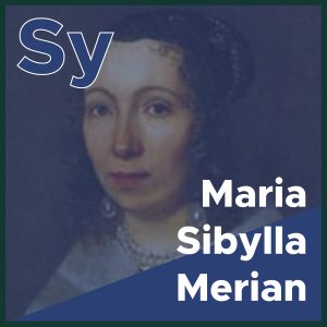 Maria Sibylla Merian – Mujeres en la Ciencia