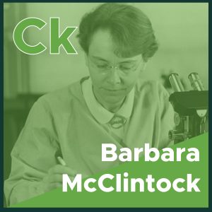 Barbara McClintock – Mujeres en la Ciencia